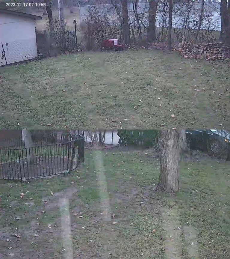 Our Backyard Cameras - juliethewalker.com
